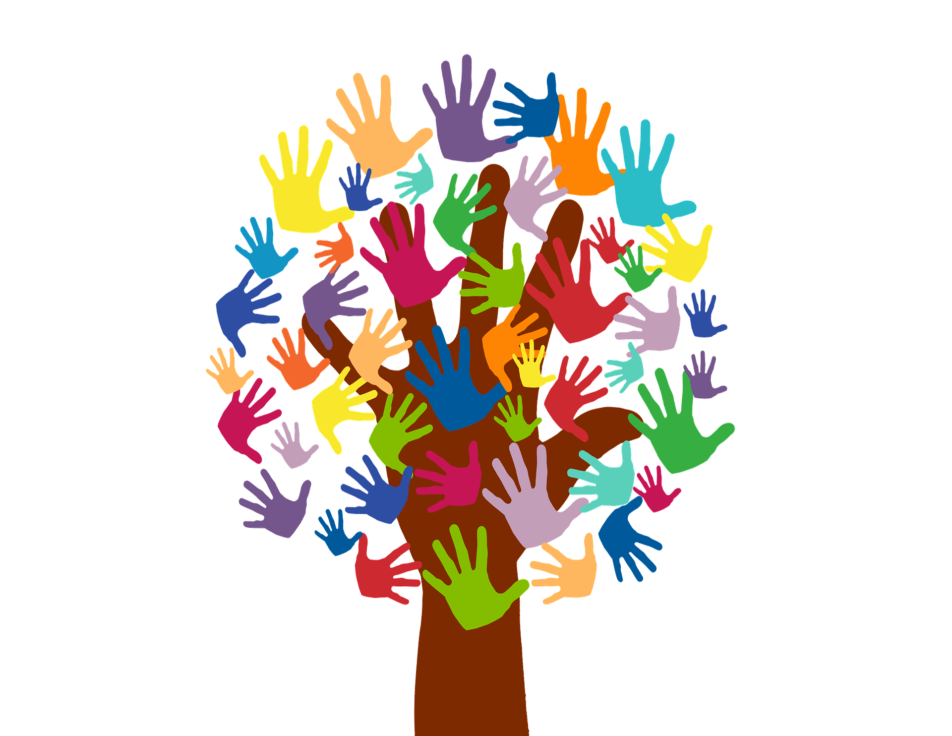 Giornata Mondiale del Volontariato. Più impegno e meno applausi ...